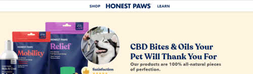 33 Best Pet Affiliate Programs In 2025