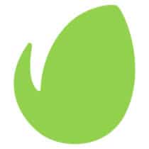 Envato Affiliate Program Review 2025 - High Commissions